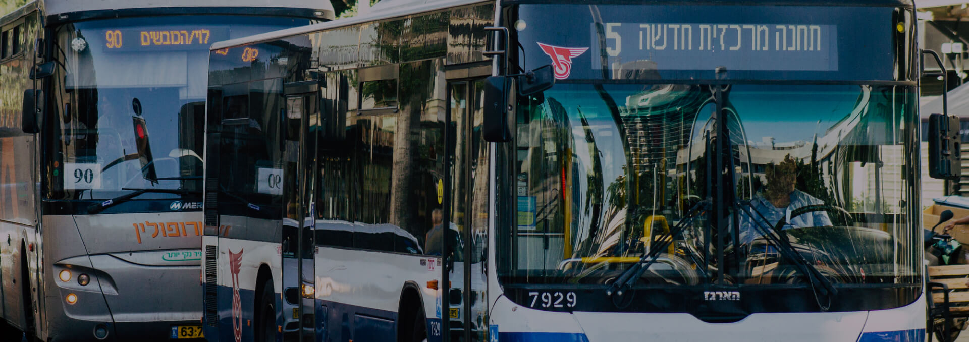 Общественный транспорт | Туры в Израиль